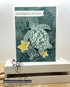Underwater and Beach Landscapes with Reversible Sea Turtle Stamp Set ...