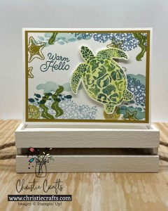 Underwater and Beach Landscapes with Reversible Sea Turtle Stamp Set ...