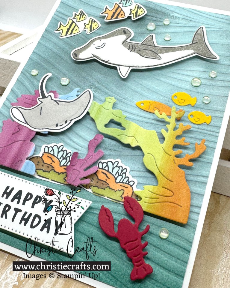 Make a Splash with the Friendly Fins Bundle – Christie Crafts